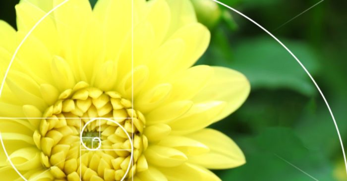 Why the Rules of Photography Still Matter on Social | Ignite Social Media