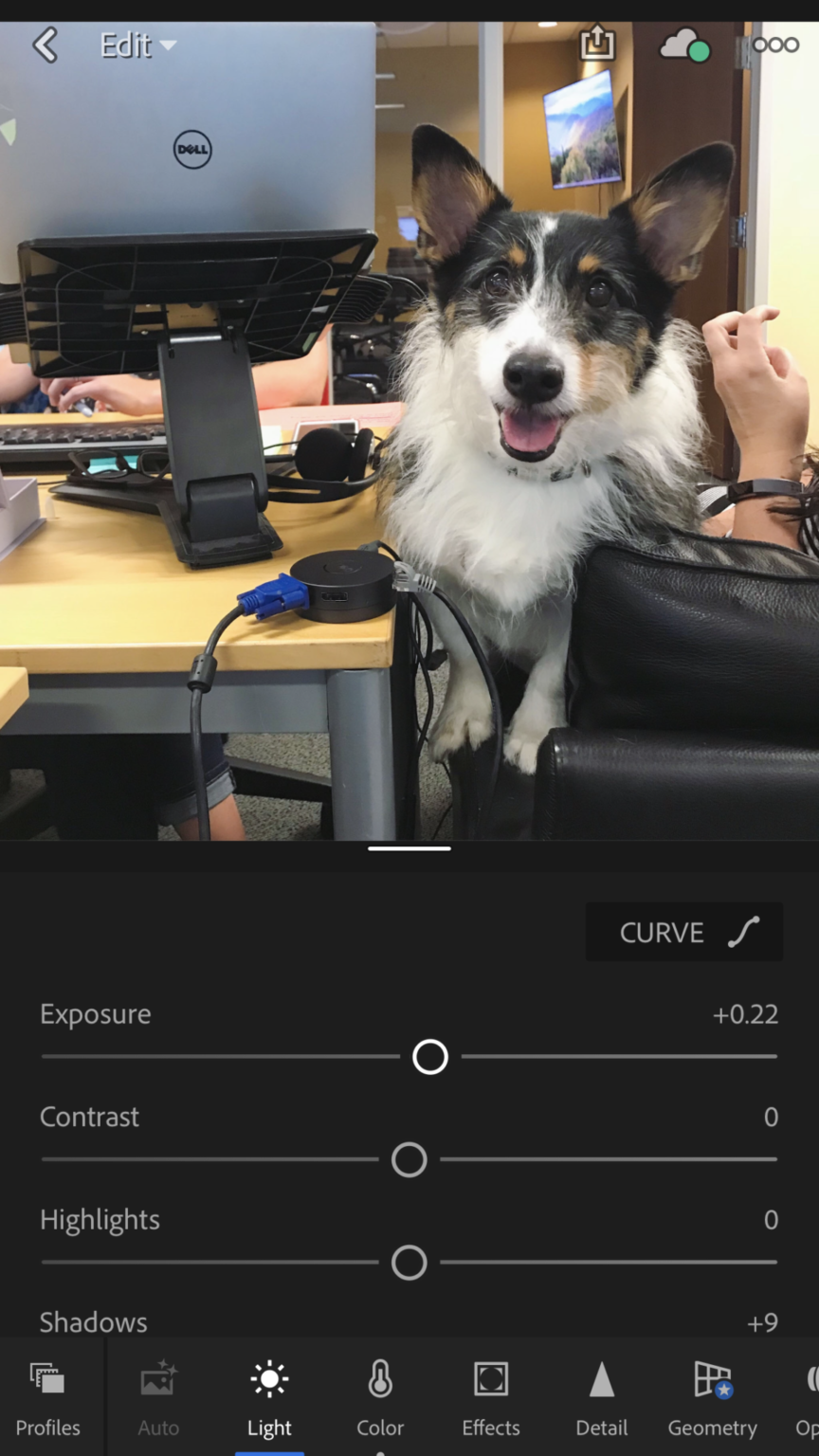 Five Great Social Content Creation Apps | Ignite Social Media