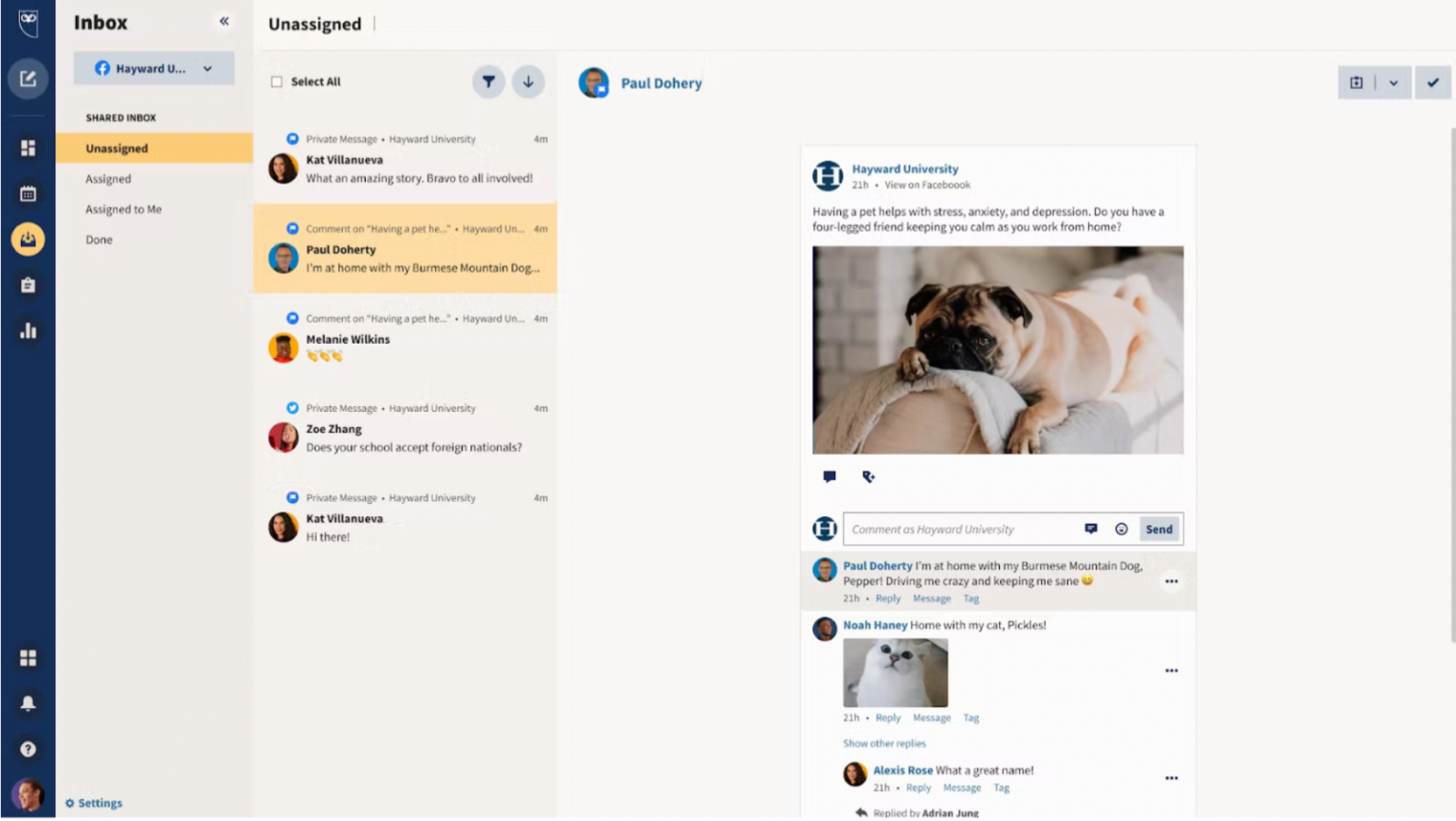 Hootsuite Ultimate Review: Everything You Need to Know | Ignite
